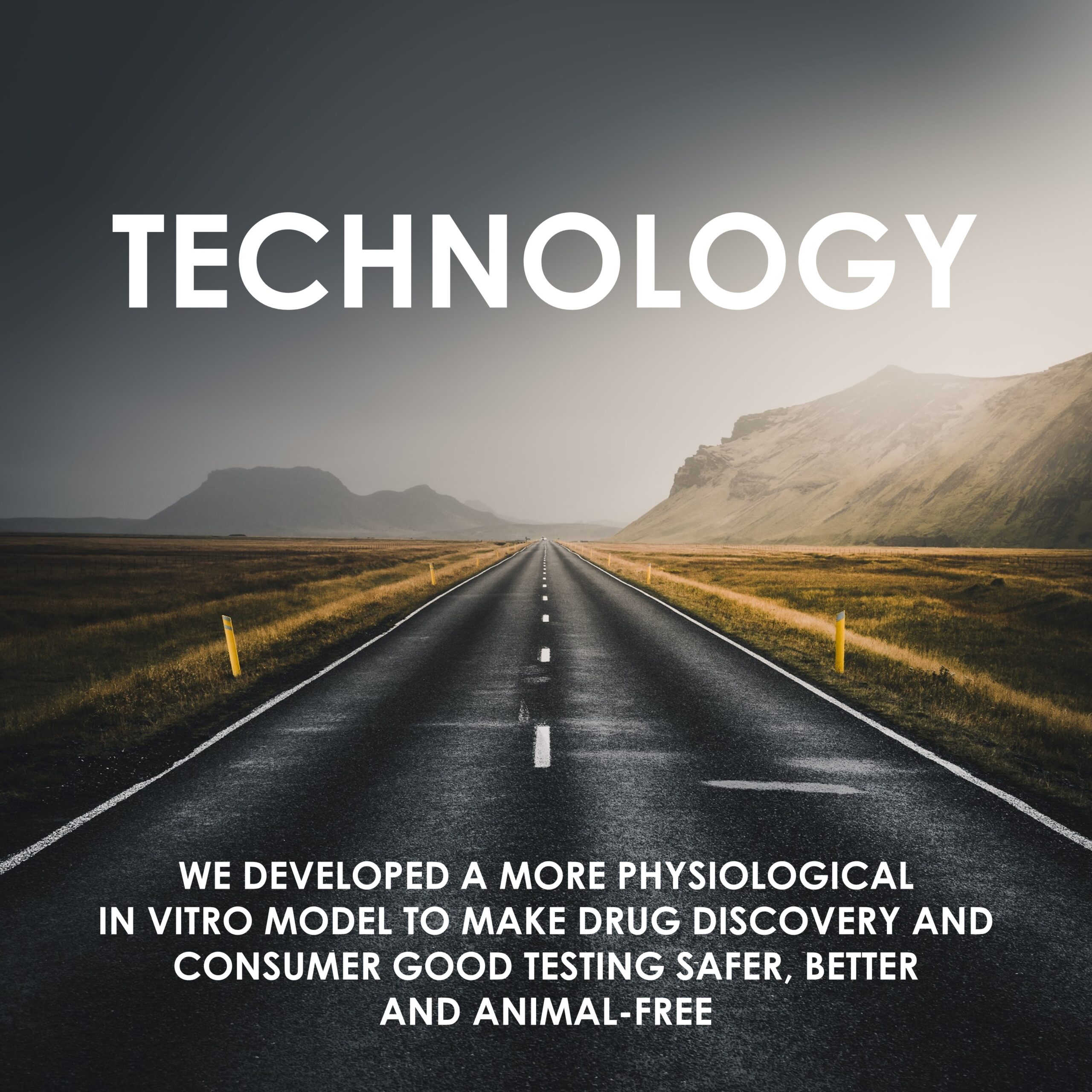 AlveoliX 3rd Anniversary - AlveoliX